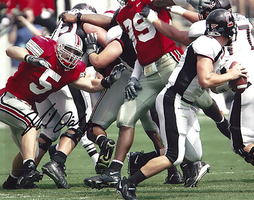 Mike D'Andrea OSU 8-3 8x10 Autographed Photo - Certified Authentic