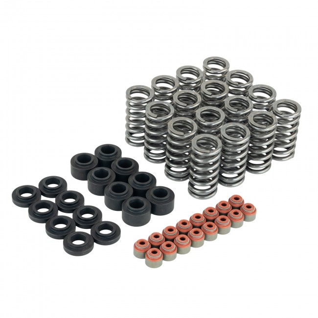 Skunk2 Racing Ultra Valve Springs and Spring Base Kit K20C1/K20C4 Honda ...