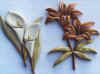 FLOWERS INTARSIA PATTERN - PS Wood Machines