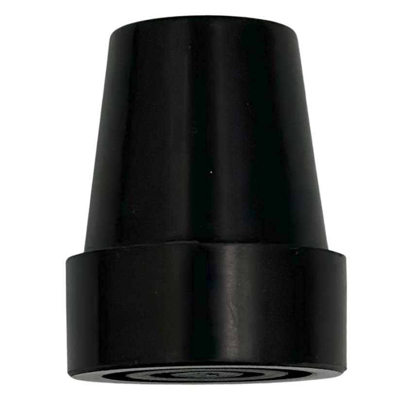 Buy Walking Stick Bush Online at Best Price & Same Day Delivery at ...