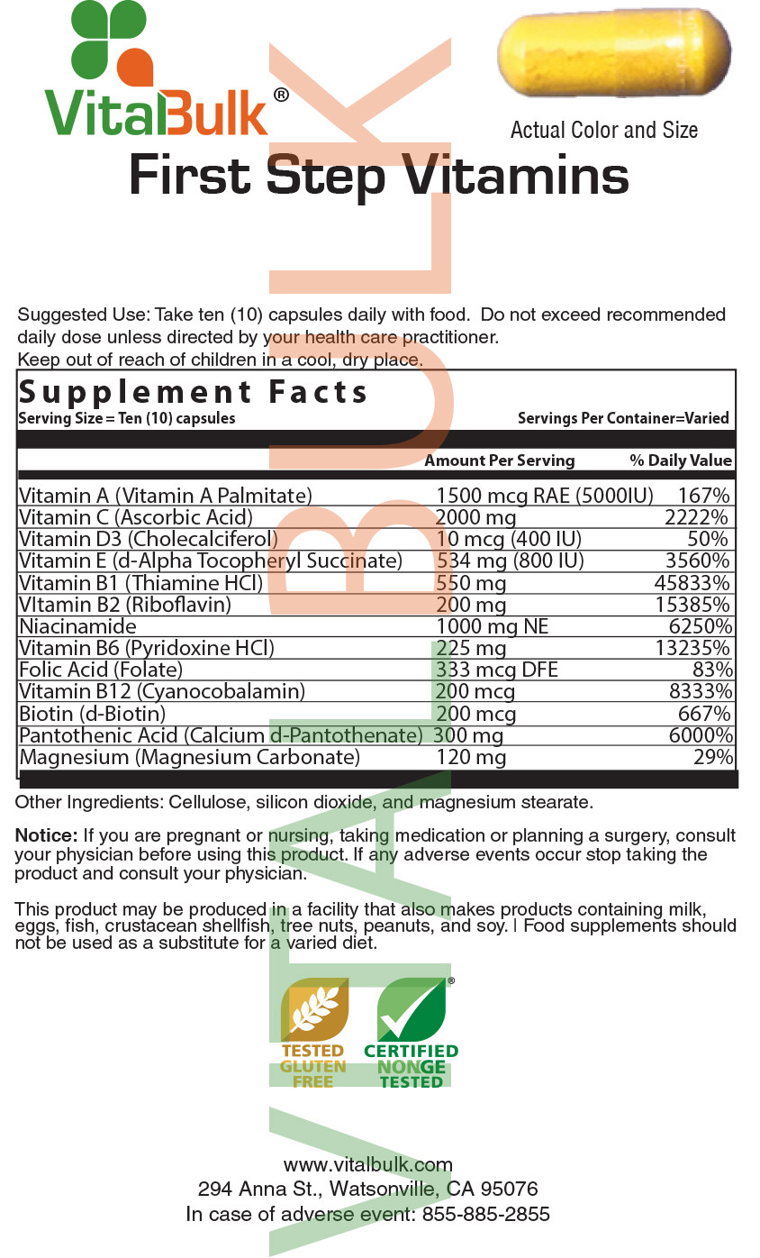 First Step Vitamins Packet - 50 Count Box - VitalBulk Inc. Retail