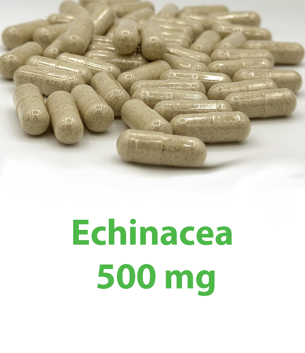 Echinacea Angustifolia Capsules - VitalBulk Inc. Retail