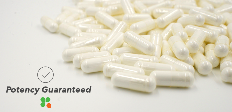 Why Potency at Expiration is Important - VitalBulk Inc. Retail