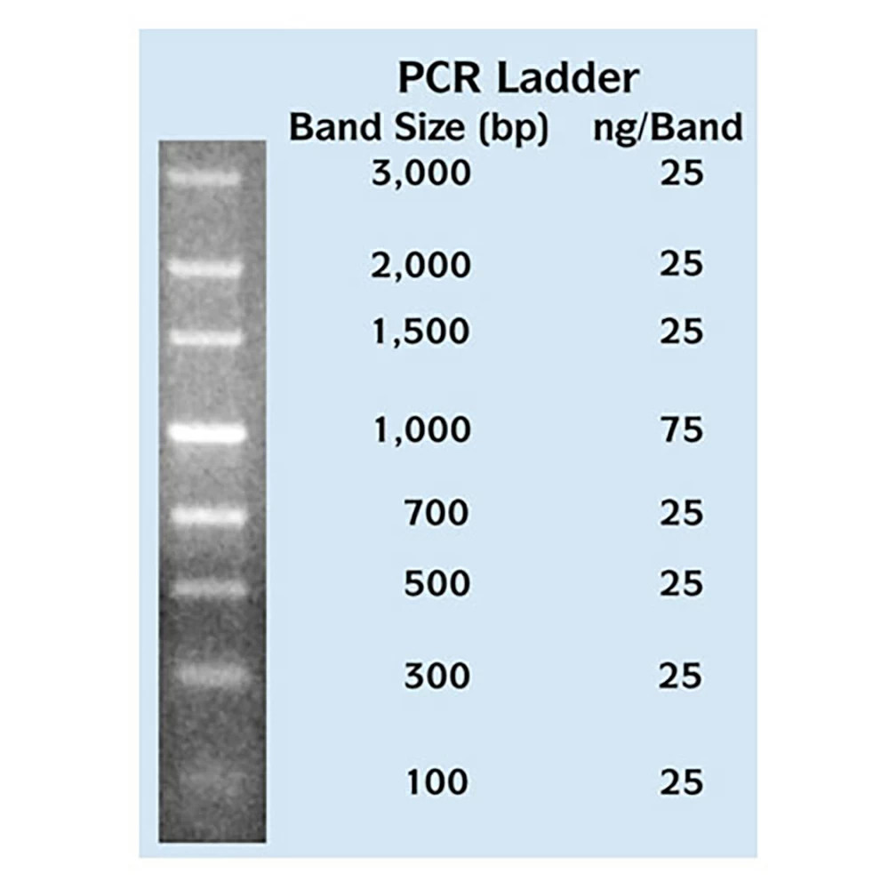 Apex PCR DNA Ladder [200 Lanes, 100-3K] | 42-433 | Gentaur