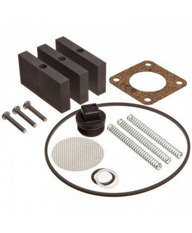 Fill-Rite 100KTF1214 Replacement Rebuild Kit for 100 Series Pump ...