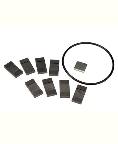 GPI 170513-01 Replacement Carbon Vanes Kit for V25 Series Fuel Transfer ...