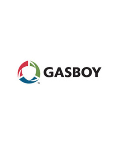 Gasboy F37694 3/4 HP DV 60 Hz CC Motor - Global Fueling Systems