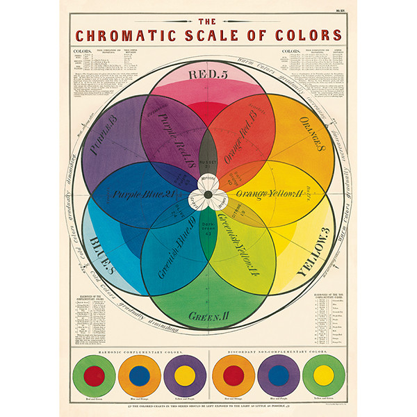Chromatic Scale of Colors Cavallini Poster - Spruce Collective