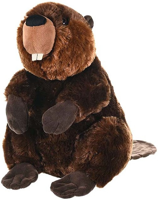 Wild Republic Beaver 12 inch Stuffed Animal - Roam Vermont