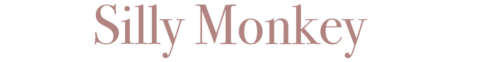 Blog - Silly Monkey
