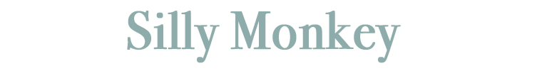 SILLY MONKEY