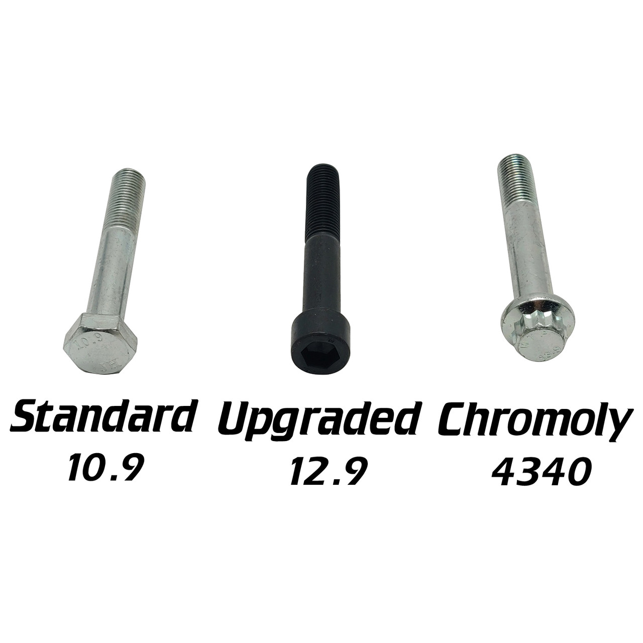 Exceladyne Rear Differential Mount Kit: Genesis Coupe - Gencoupe Store