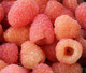Double Gold Raspberry (PPAF) - Berries Unlimited USA
