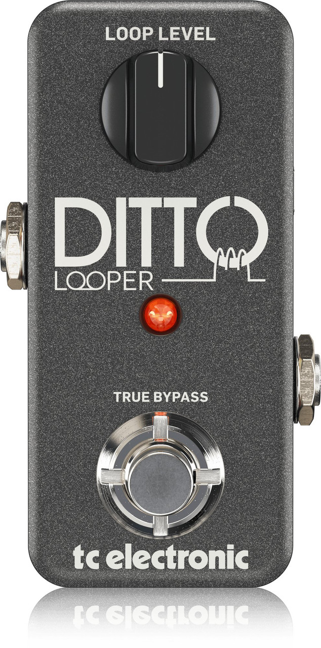 TC Electronic Ditto Loop Pedal - Andertons Music Co.