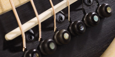 Taylor Expression System 2 Pickup - Andertons Music Co.