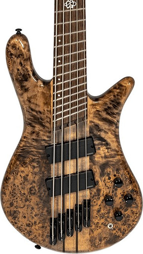 Spector Basses - Andertons Music Co.