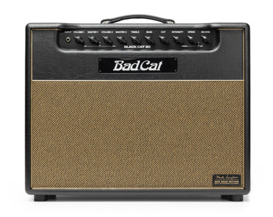 Bad Cat Mod Shop Black Cat 30 1x12 Valve Amp Combo - Andertons Music Co.