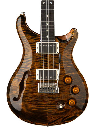 PRS DGT Semi-Hollow Electric Guitar in Tiger Eye with Moon Inlays ...