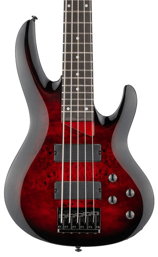 ESP LTD B-205DX 5-String Bass Guitar in Red Burst - Andertons Music Co