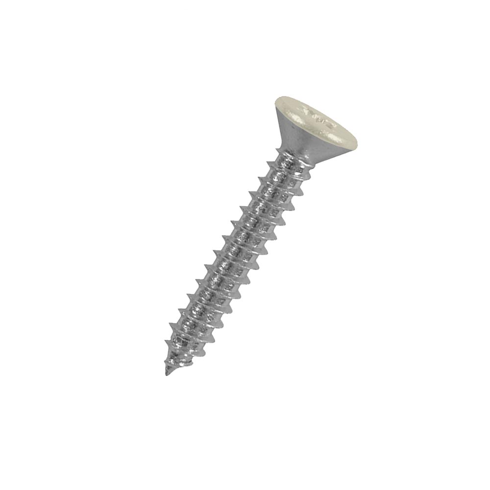 Painted Stainless Steel Screws