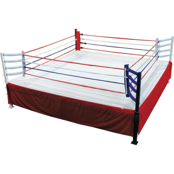 10' X 10' Custom Boxing Ring 2FT Elevated W/ Your Logo - PRO FIGHT SHOP