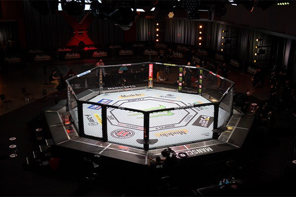 PRO MMA 24' X 24' Octagon MMA Fight Cage - PRO FIGHT SHOP