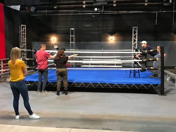 12' X 12' Professional Training Boxing Ring - PRO FIGHT SHOP