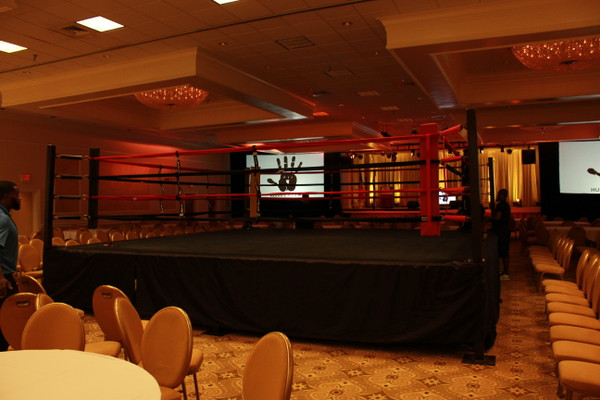 Professional 20' X 20' Boxing Ring Rental | PRO FIGHT SHOP