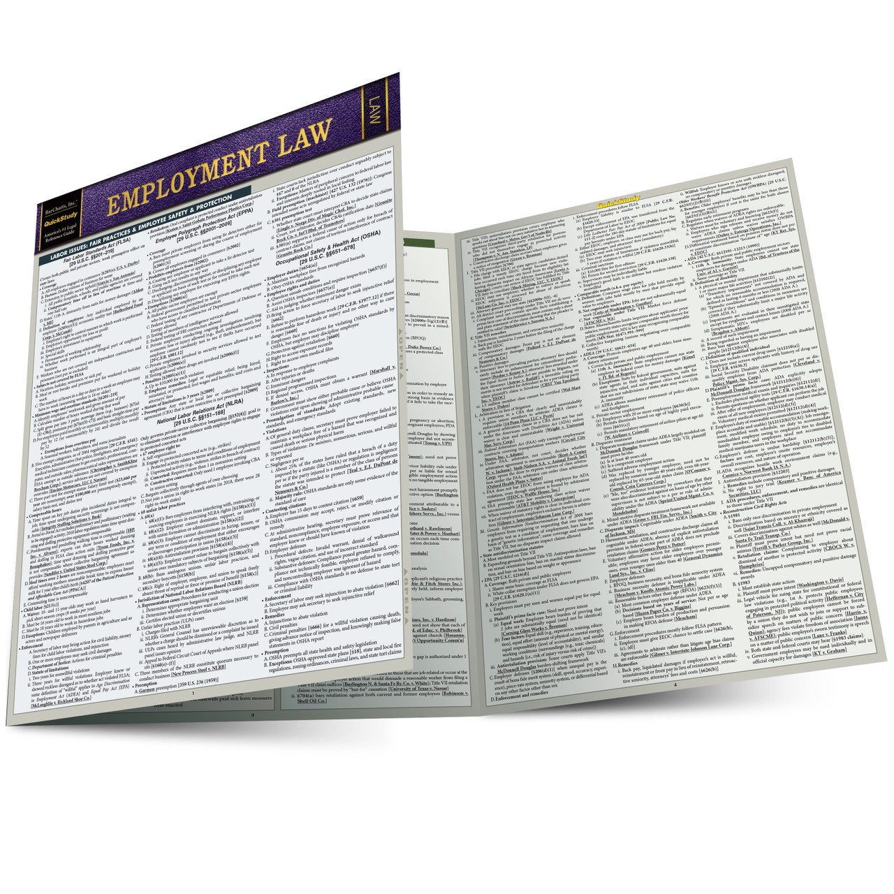 QuickStudy Employment Law Laminated Study Guide (9781423238683)