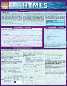 QuickStudy Computer Security Laminated Reference Guide (9781423223566)