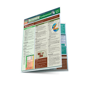 QuickStudy Earth Laminated Study Guide (9781423219576)