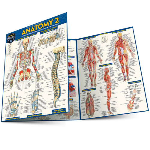 QuickStudy Anatomy 2 Laminated Study Guide (9781572228566)