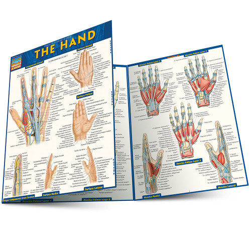 QuickStudy The Hand Laminated Study Guide (9781423220220)