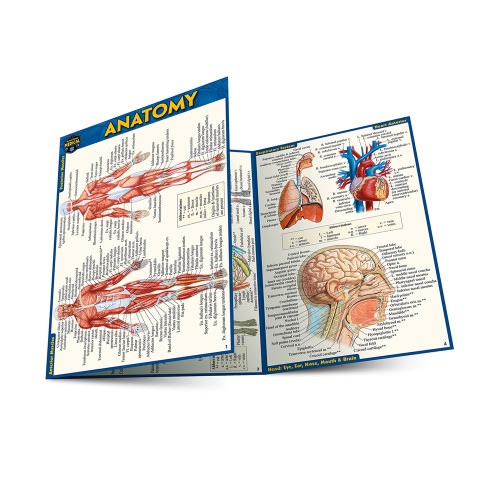 QuickStudy Anatomy Laminated Pocket Guide (9781423242666)