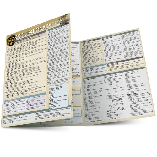 QuickStudy Occupational Therapy Laminated Study Guide (9781423241836)