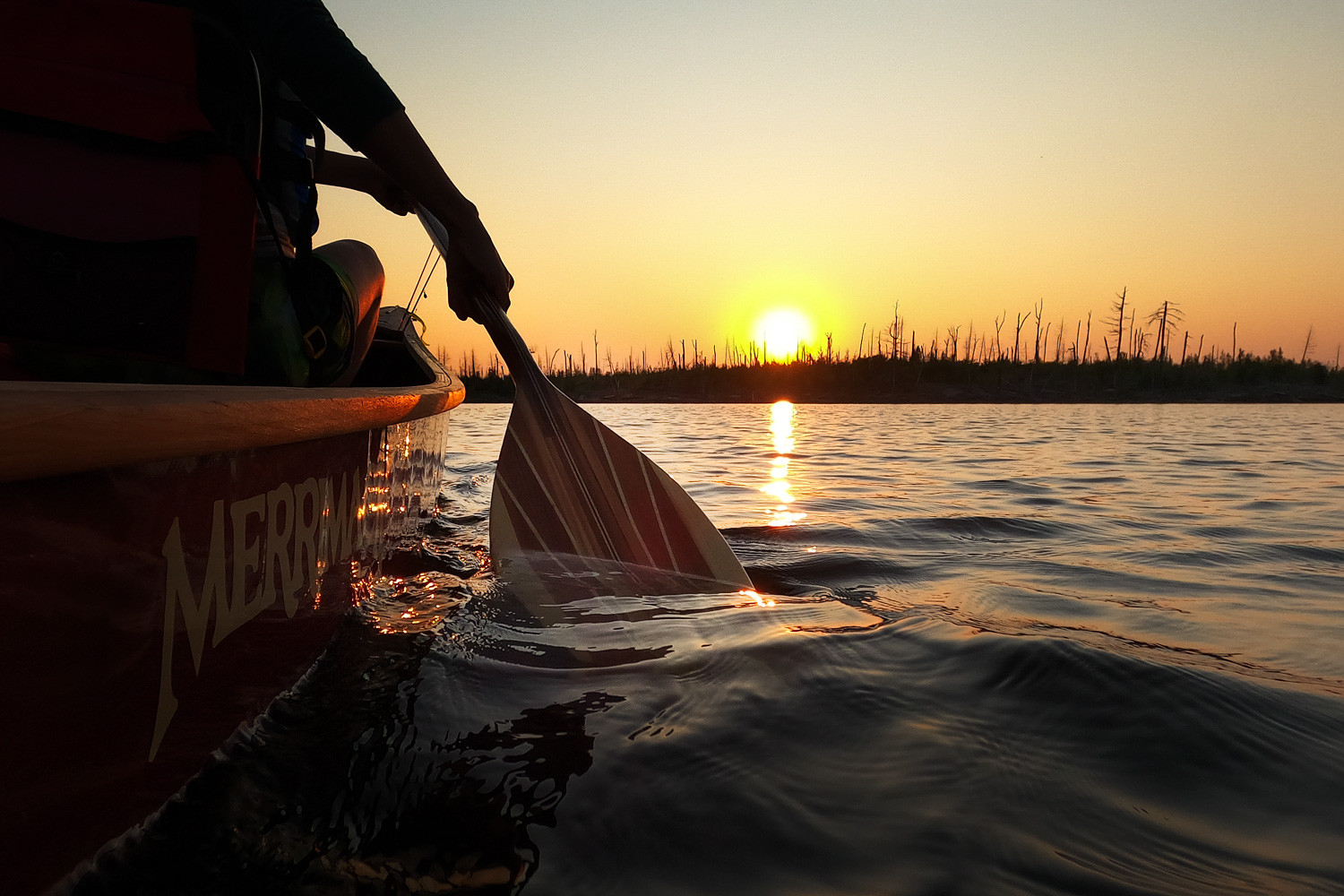 Minnesota - High Quality Wooden Canoe Paddle, made using hardwoods in ...