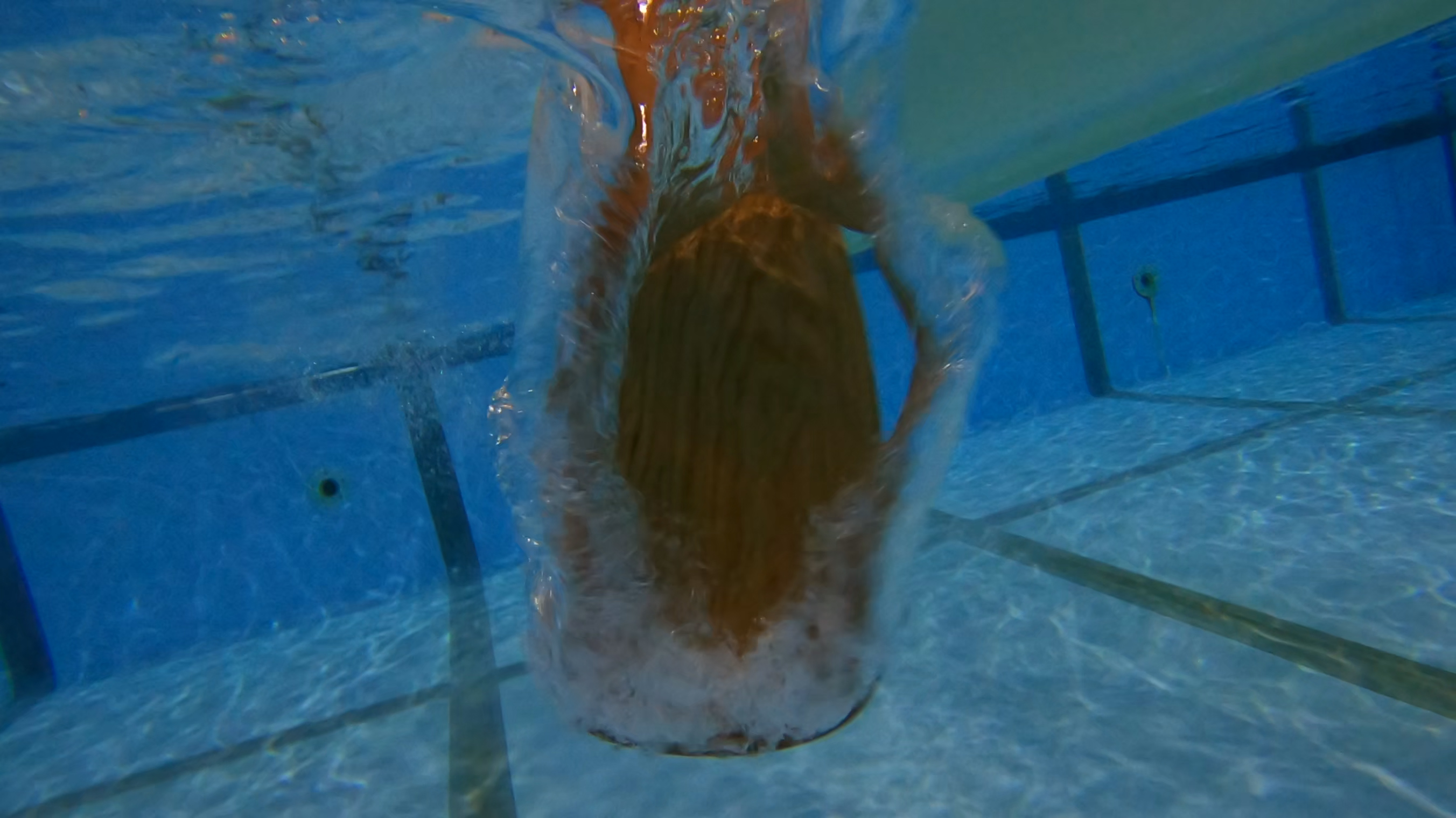 A View Of A Paddle - Merrimack Canoe Co.