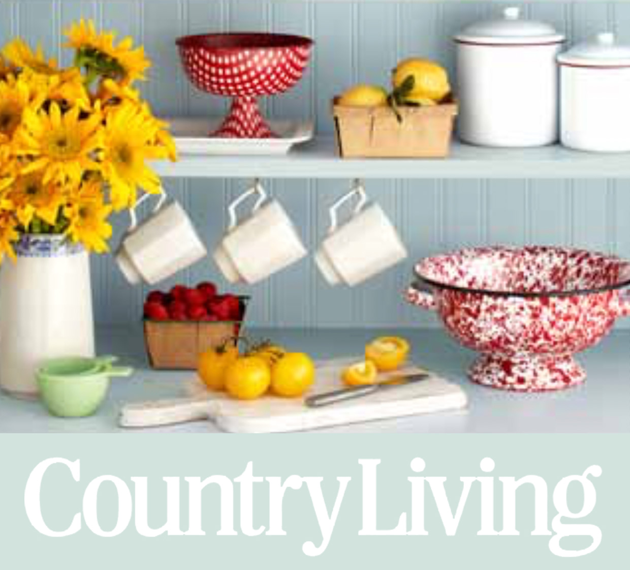 Country Living: Shop Guide - Crow Canyon Home