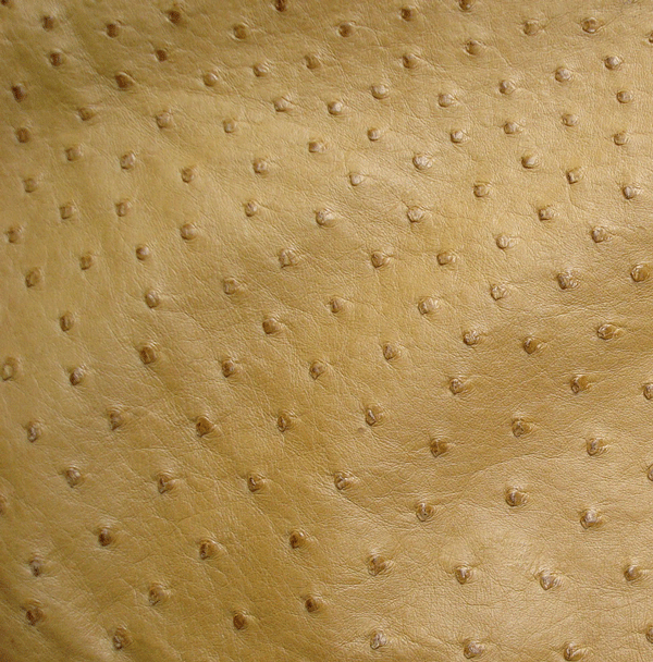 Ostrich Skins