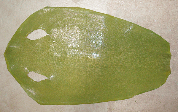 STINGRAY SKIN