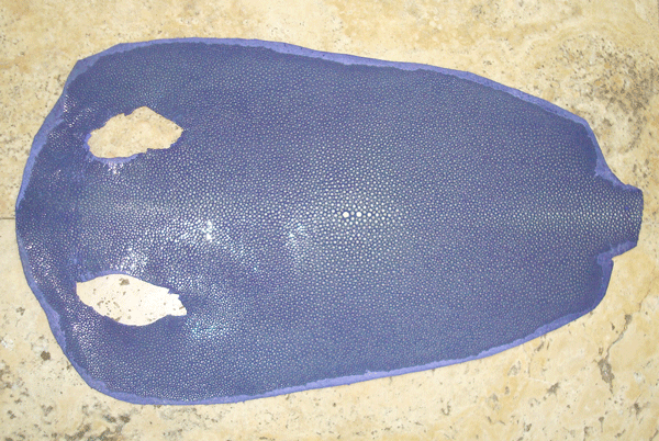 STINGRAY SKIN