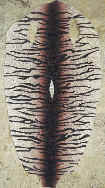 STINGRAY SKIN