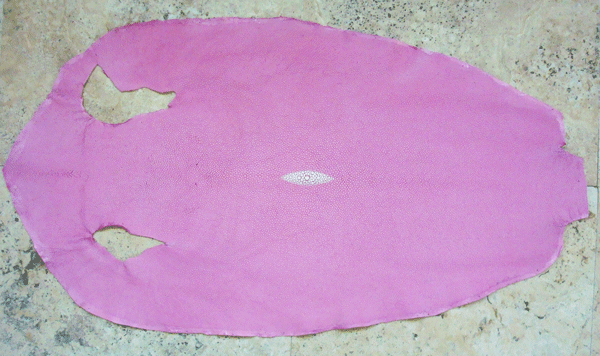 Stingray Skins