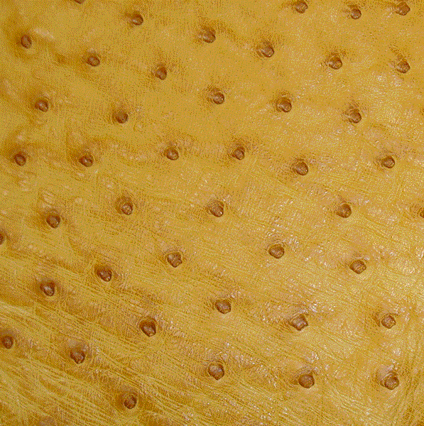 Ostrich Skins