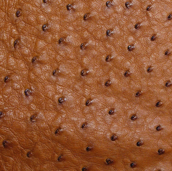 Ostrich Skins
