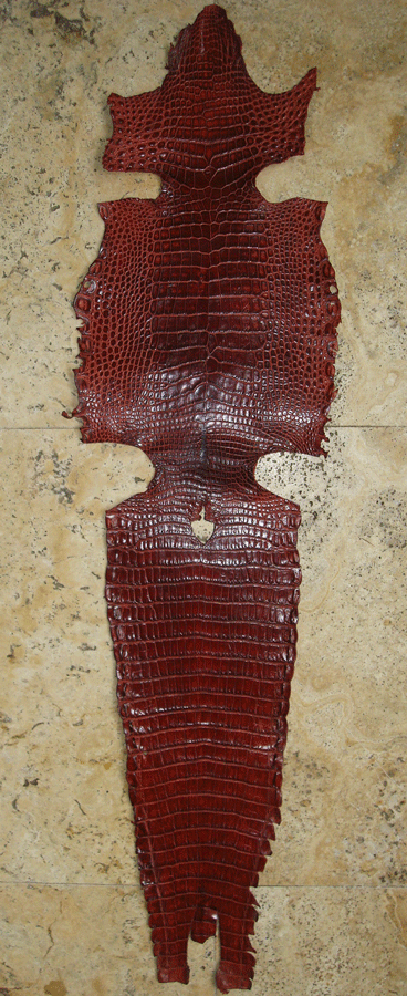 ALLIGATOR BELLY SKIN