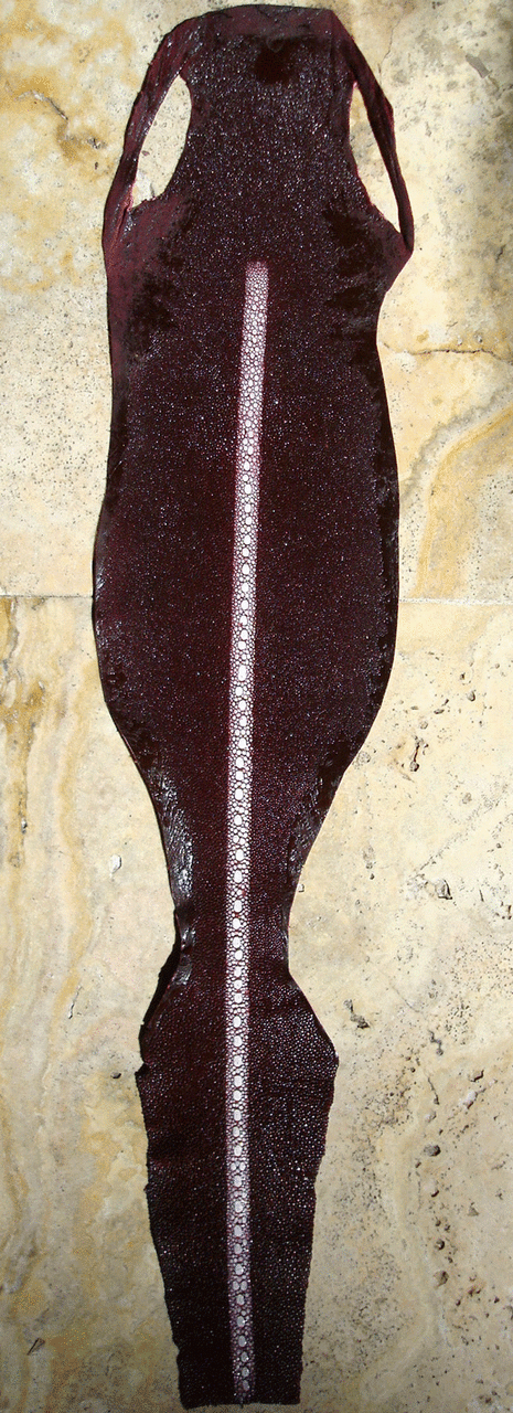 ROW STINGRAYS - OSTRICH MARKET