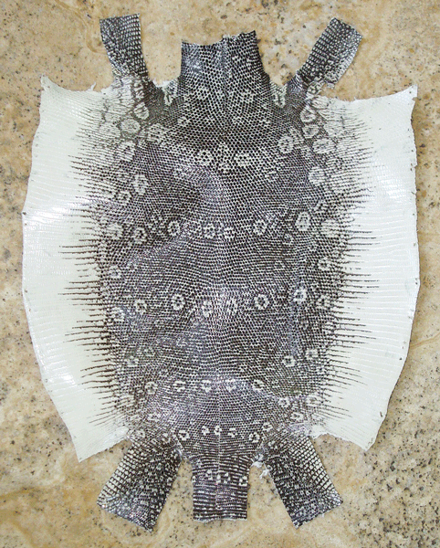 RING LIZARD SKIN