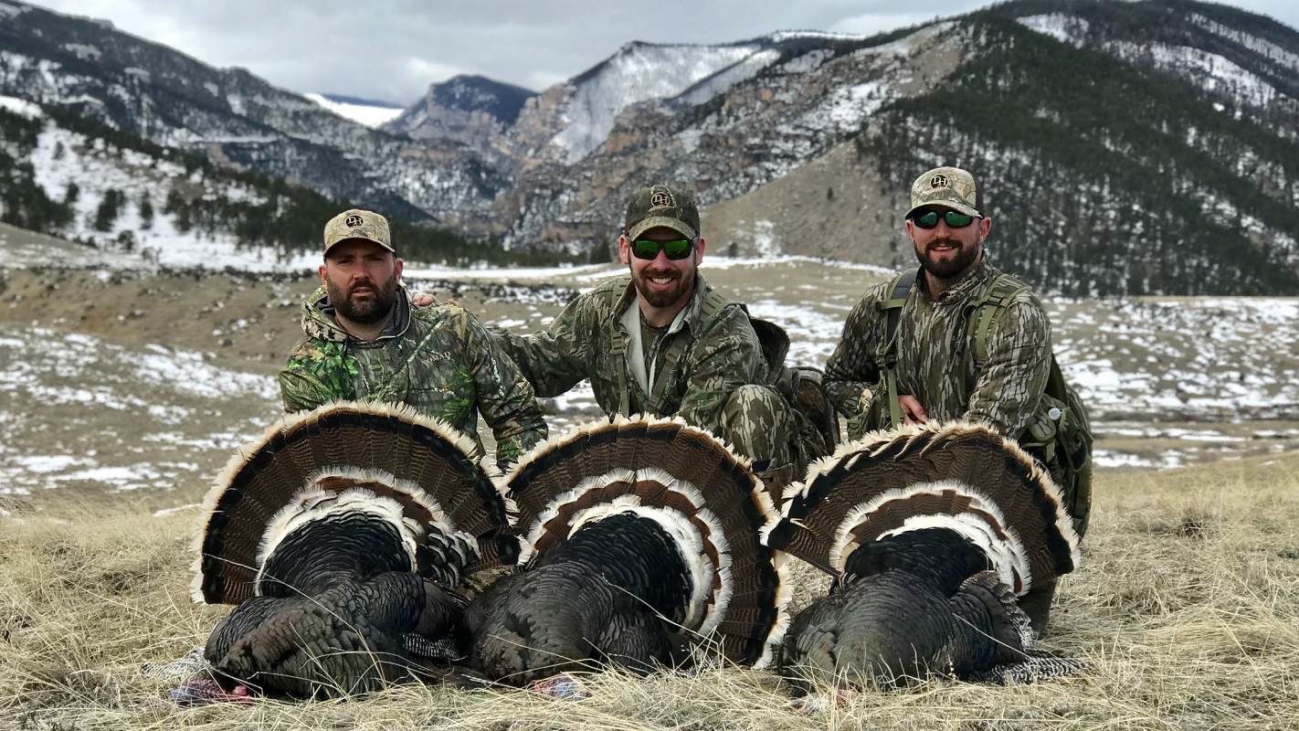 David Halloran Turkey Calls