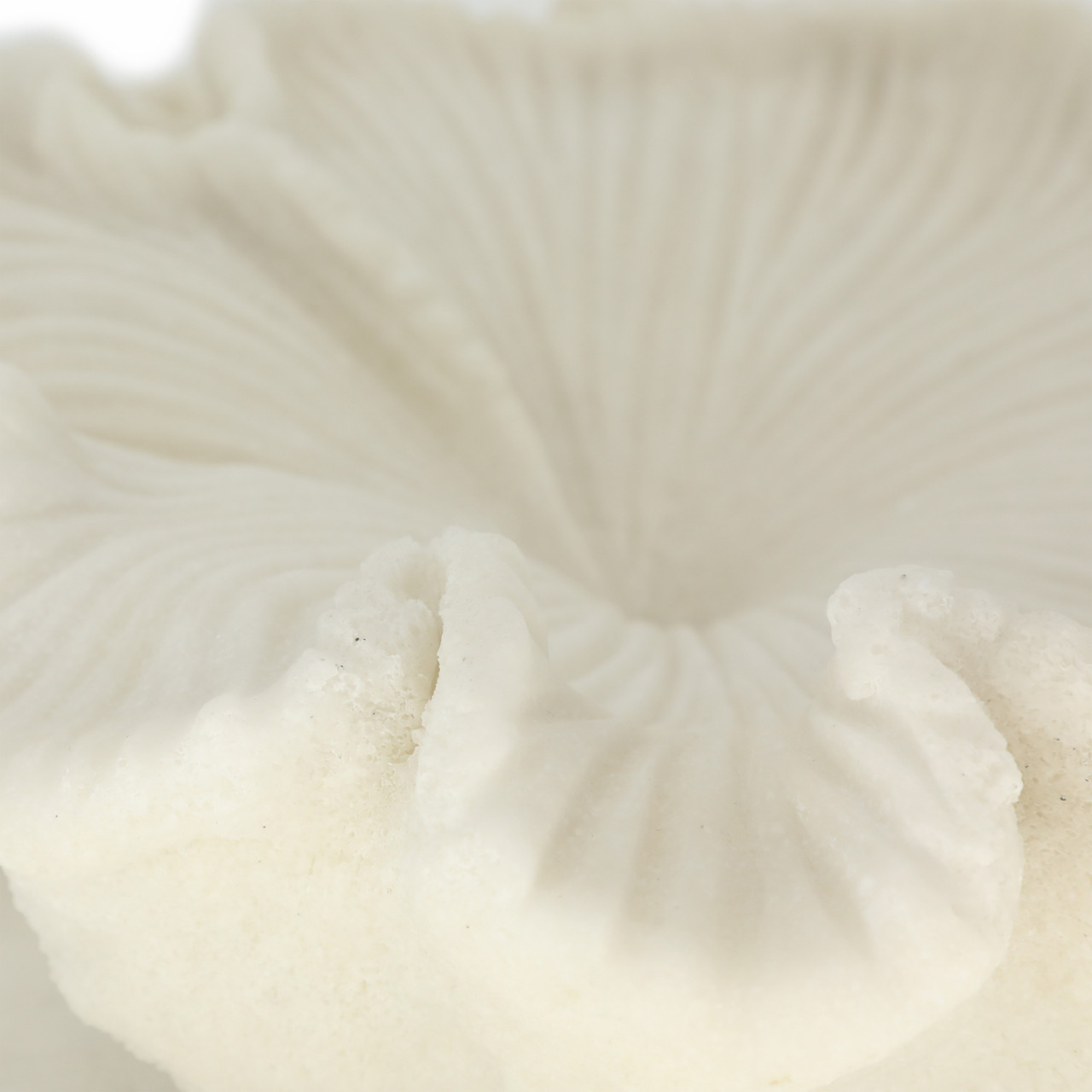 17" Majorca Quartz Resin Shell Bowl | Sagebrook Home